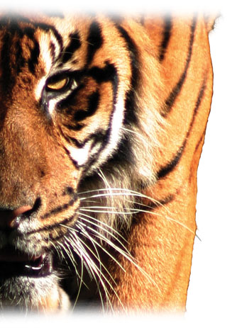 Gradcracker - Careers for Engineering & Technology University Students